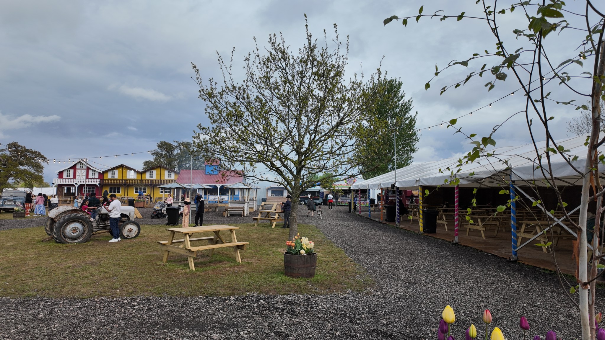 Tulleys Tulip Garden Warwickshire: A Complete Visitor’s Guide for 2025 ...